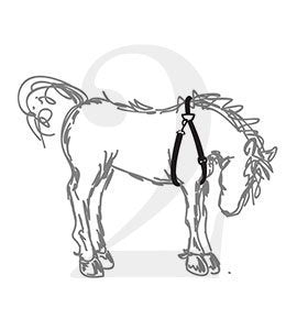 Hairy Back Ranch | Portable Mounting Aid | Solo Ride – Hairy Back Ranch