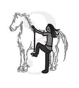 Hairy Back Ranch | Portable Mounting Aid | Solo Ride – Hairy Back Ranch